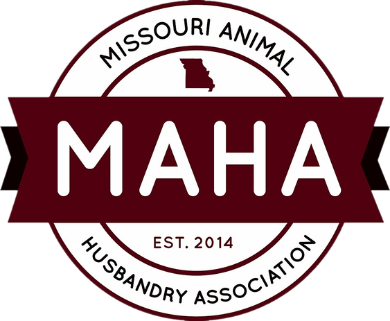 Home - Awesome Paws of Missouri