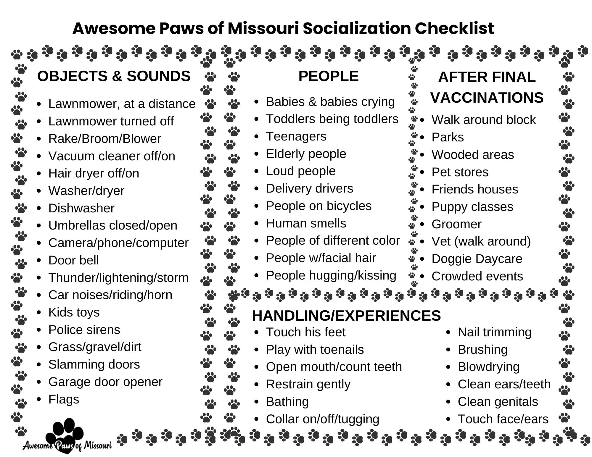 Yorkshire Terrier Puppies for Sale, Grooming and Care Tips